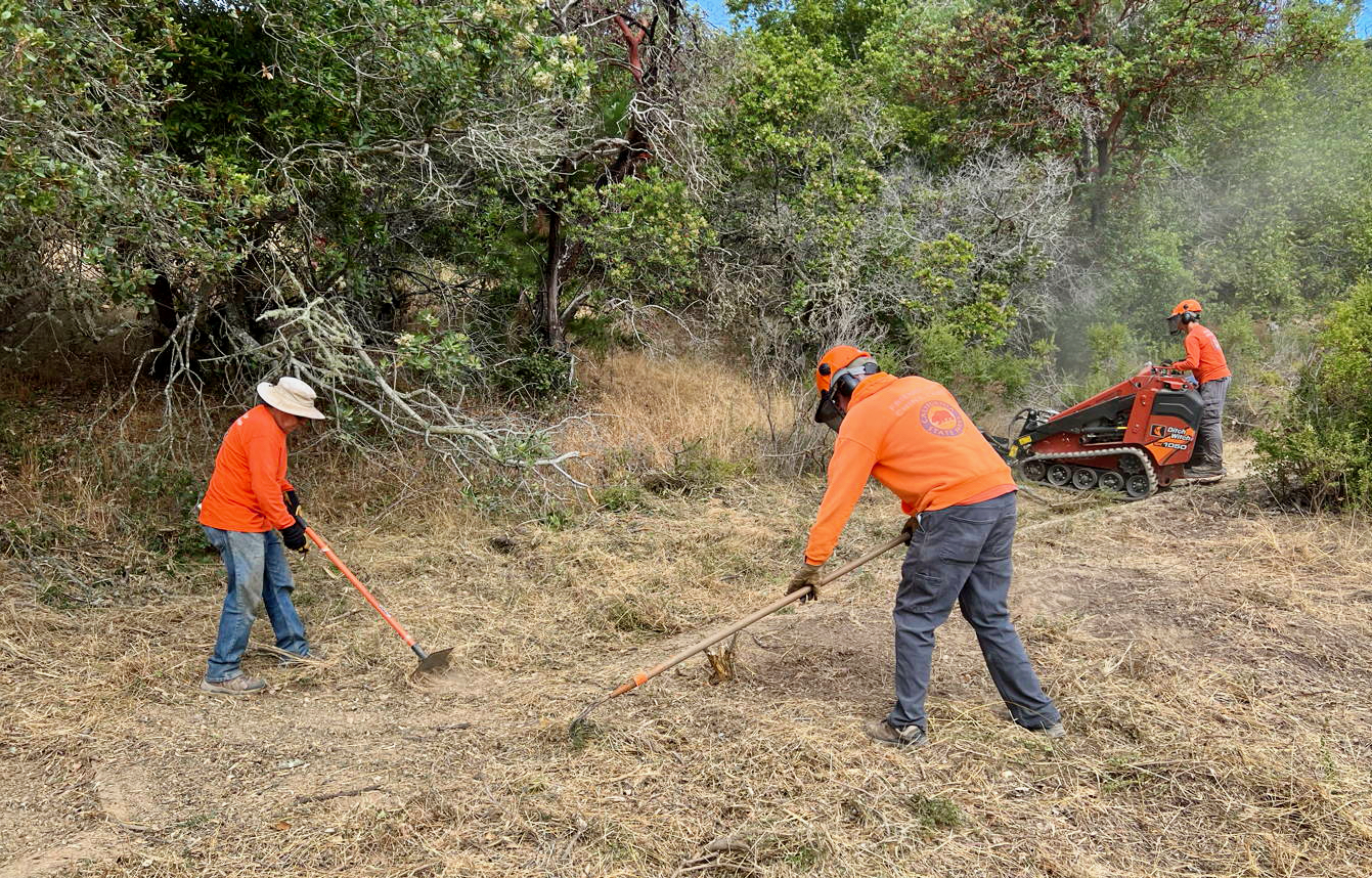 Volunteer Park Maintenance – Friends of China Camp