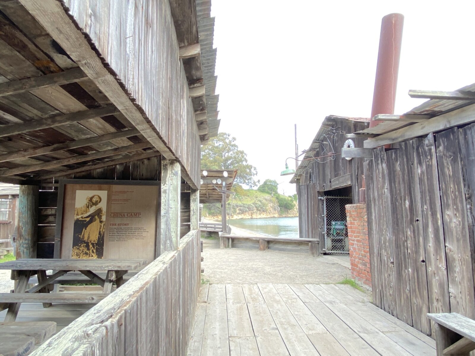 A walk through time at China Camp – Friends of China Camp