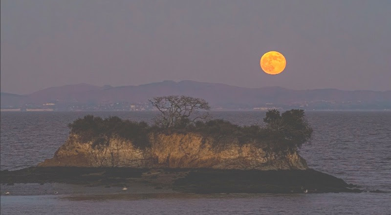 Summer solstice astronomy night – Friends of China Camp