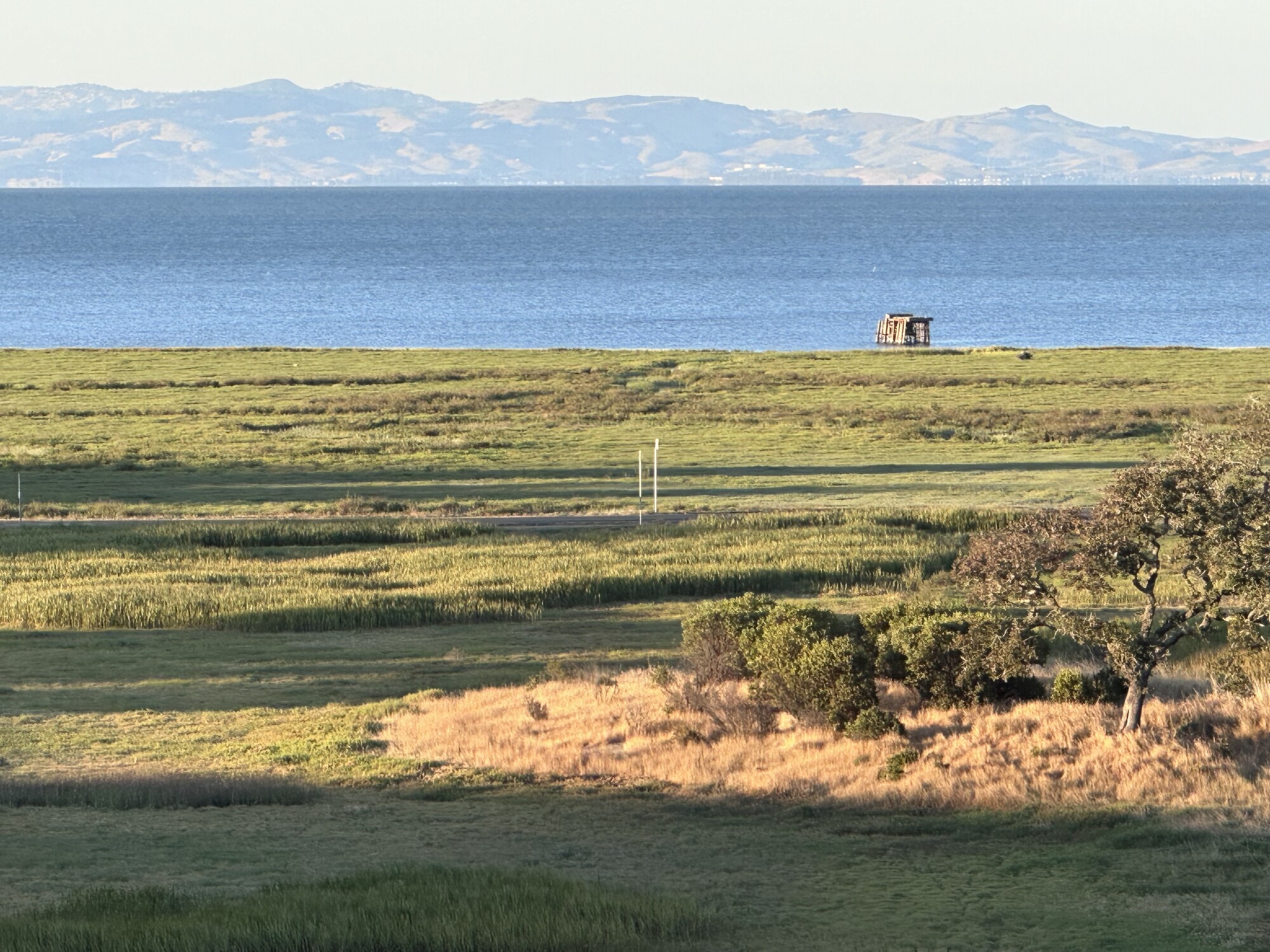 Home – Friends of China Camp