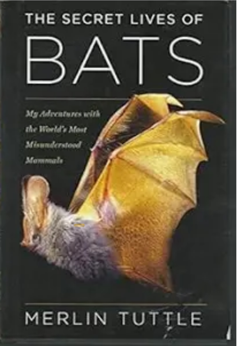 Naturalist’s Book Club: The Secret Life of Bats – Friends of China Camp