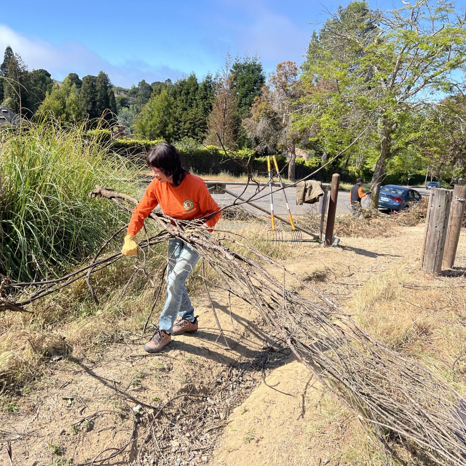 Give-back morning at China Camp – Friends of China Camp